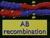 Chromosome genetic recombination blender 3d 3D model | CGTrader