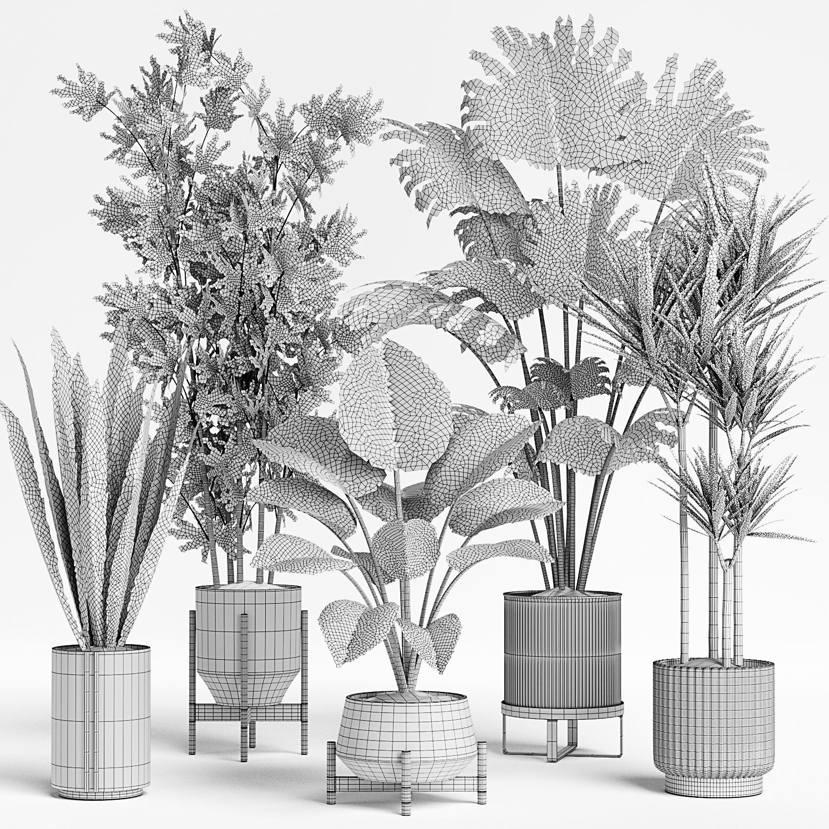 Indoor Plants Set 24 3D model | CGTrader