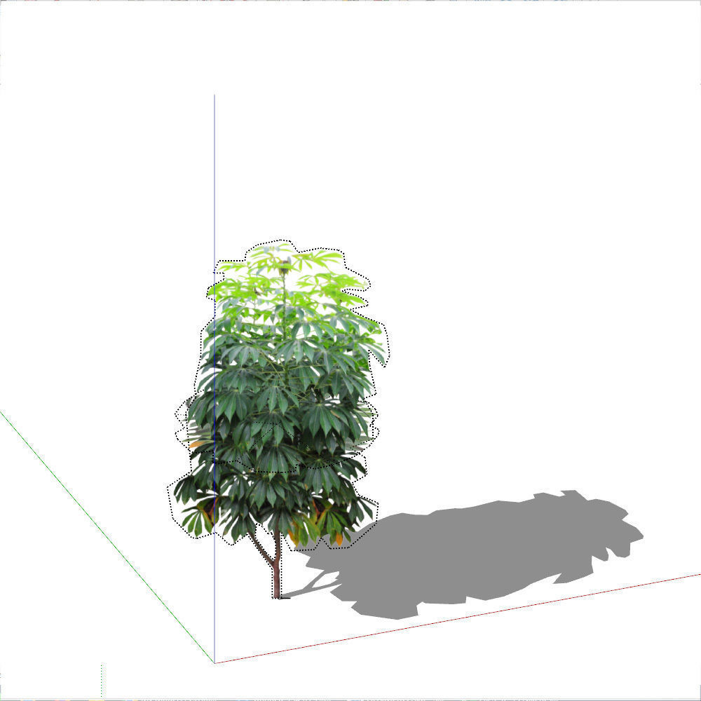 Cassava plant 3D model | CGTrader