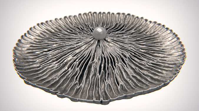 Coral Flower Pearl Earring STL 3D model 3D printable | CGTrader