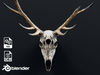 deer demon skull 3D model | CGTrader