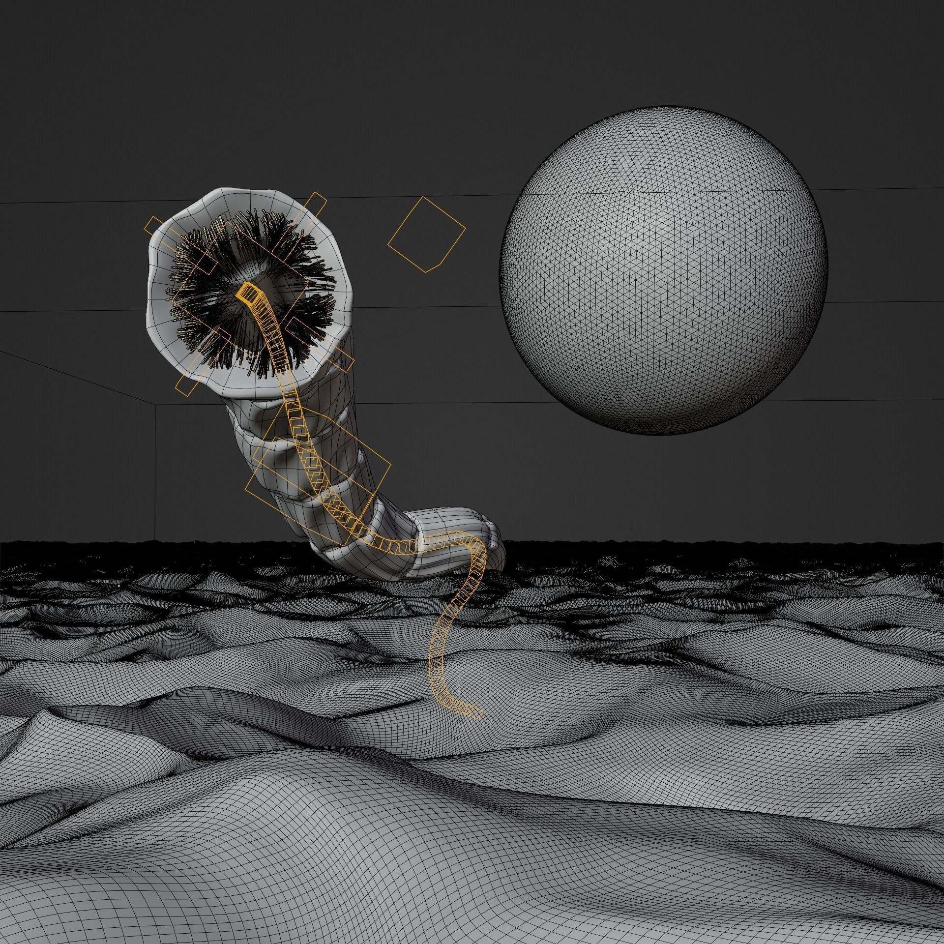 3D model Sand Dunes Worm -Rigged VR / AR / low-poly | CGTrader