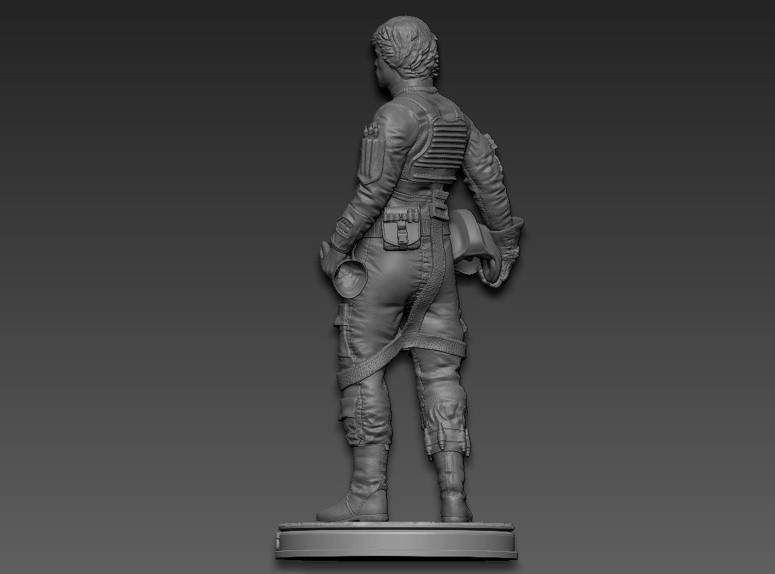 Luke Skywalker pilot V2 3D model 3D printable | CGTrader