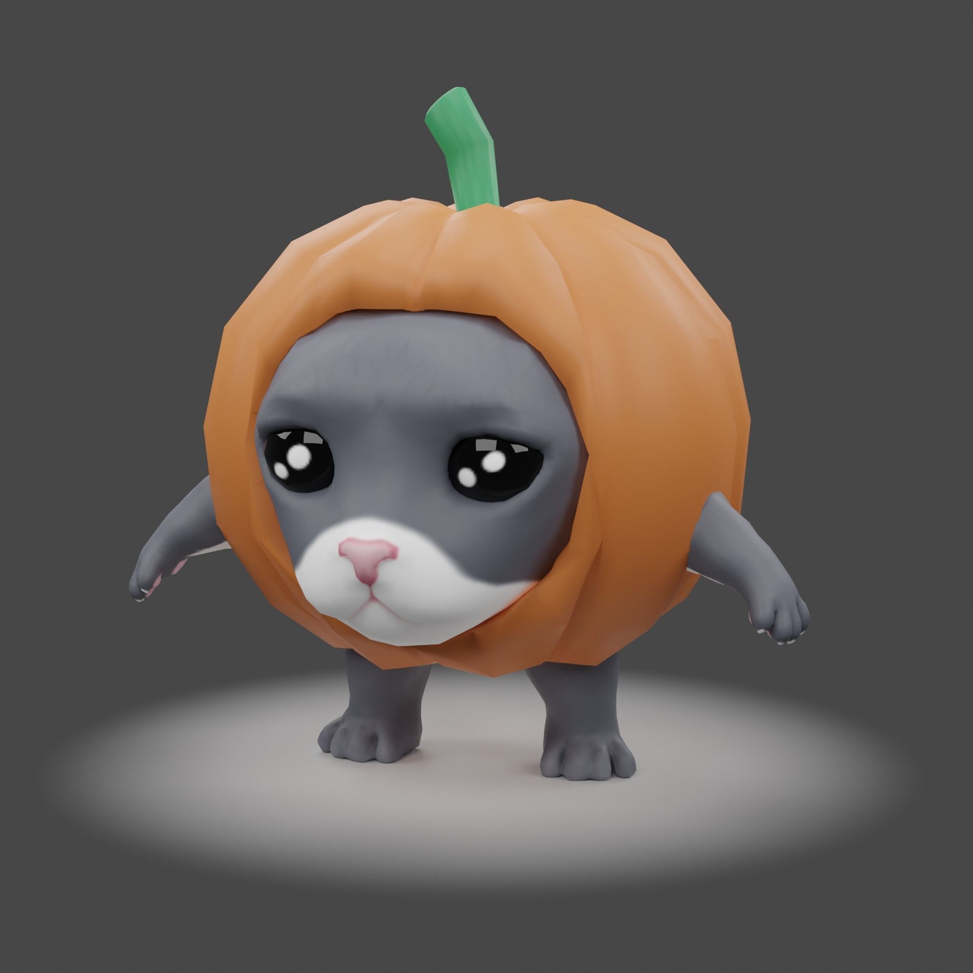 3D model Pumpkin cat meme VR / AR / low-poly | CGTrader
