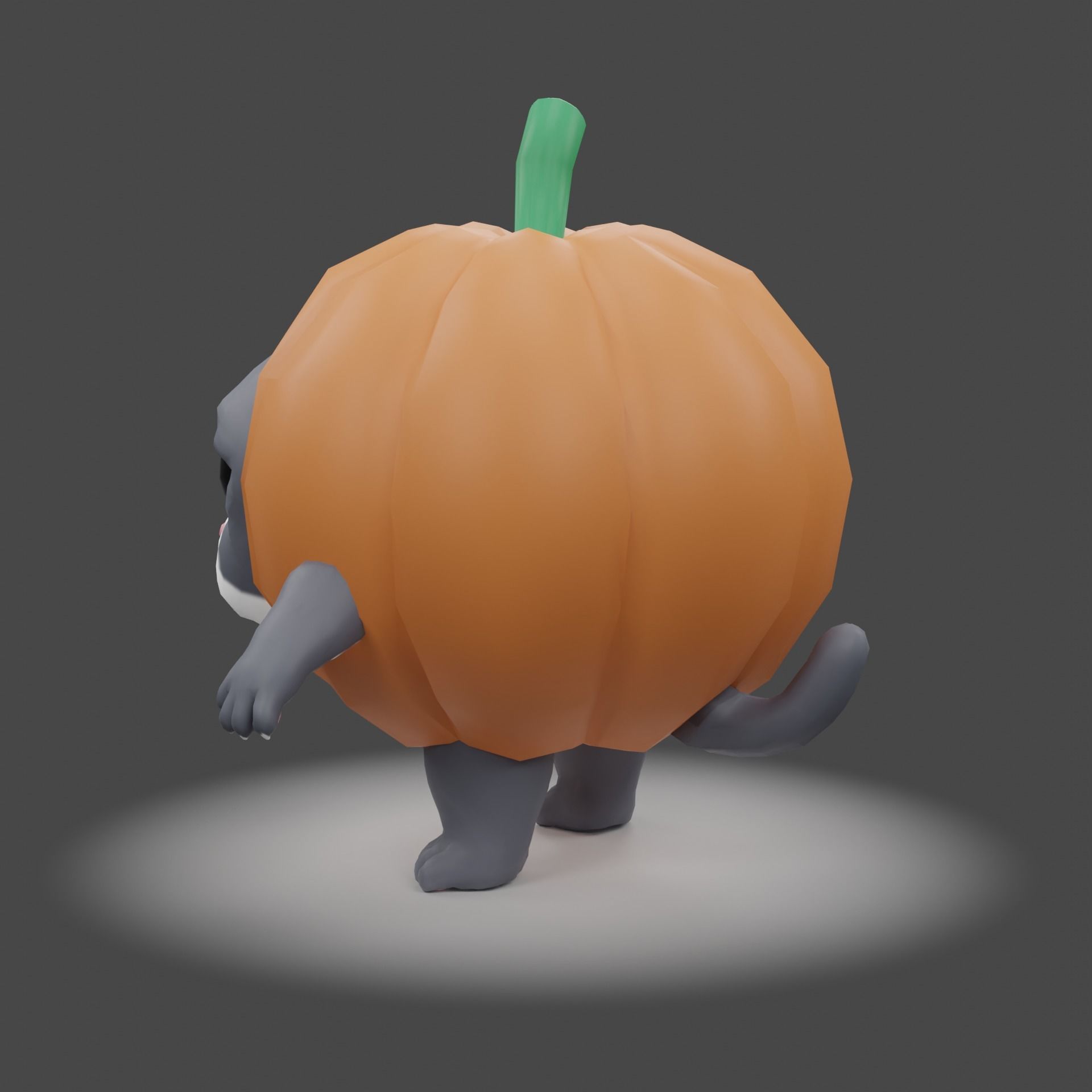3D model Pumpkin cat meme VR / AR / low-poly | CGTrader