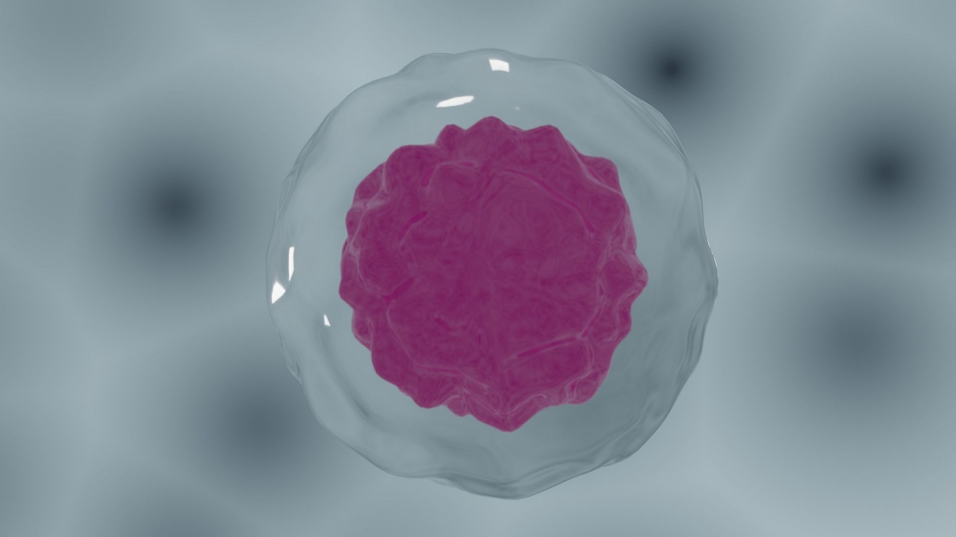 Professional realistic Animal Cell or Stem Cell 3D model free VR / AR ...