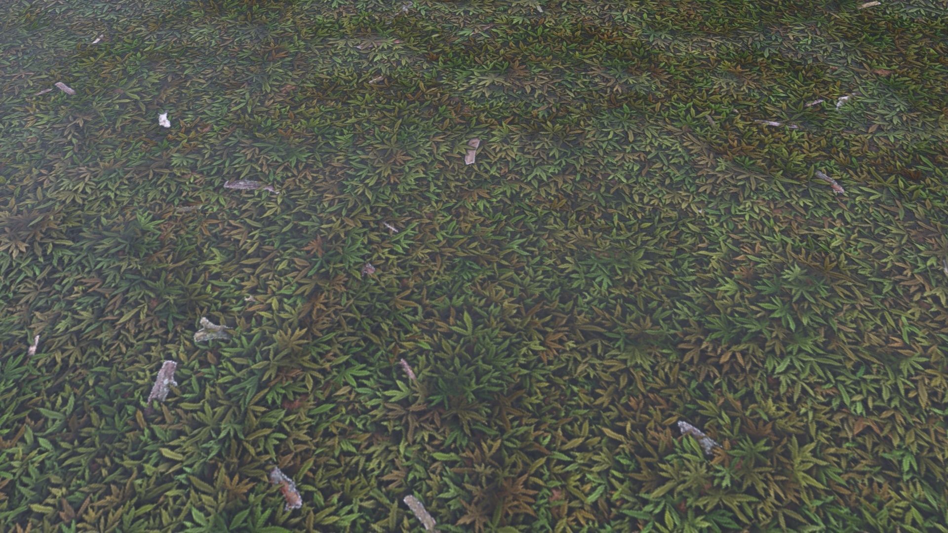 bumpy plant field 4K Texture | CGTrader