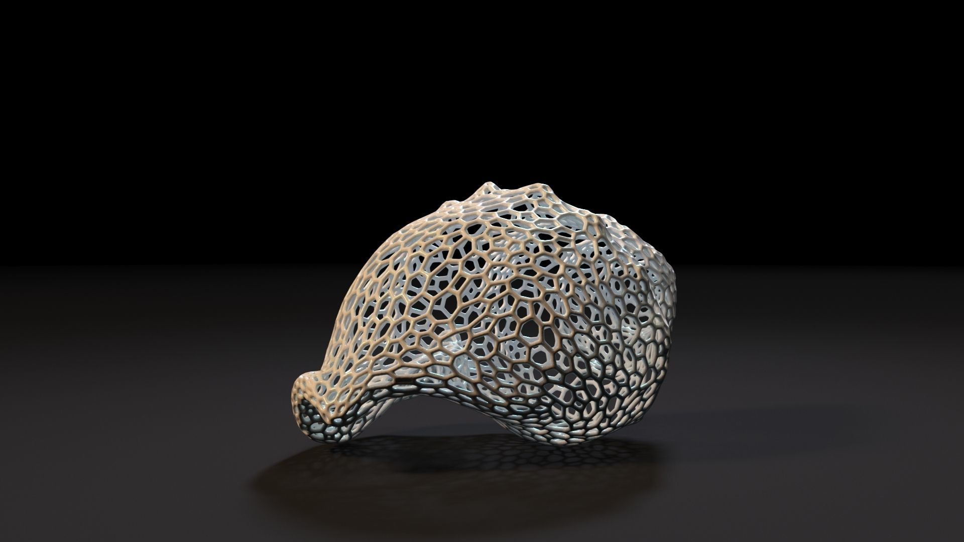 Seashell 3D model 3D printable | CGTrader