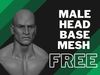 Male head base mesh free 3D model | CGTrader