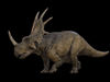 3D model Styracosaurus - Styraco Dinosaur VR / AR / low-poly | CGTrader