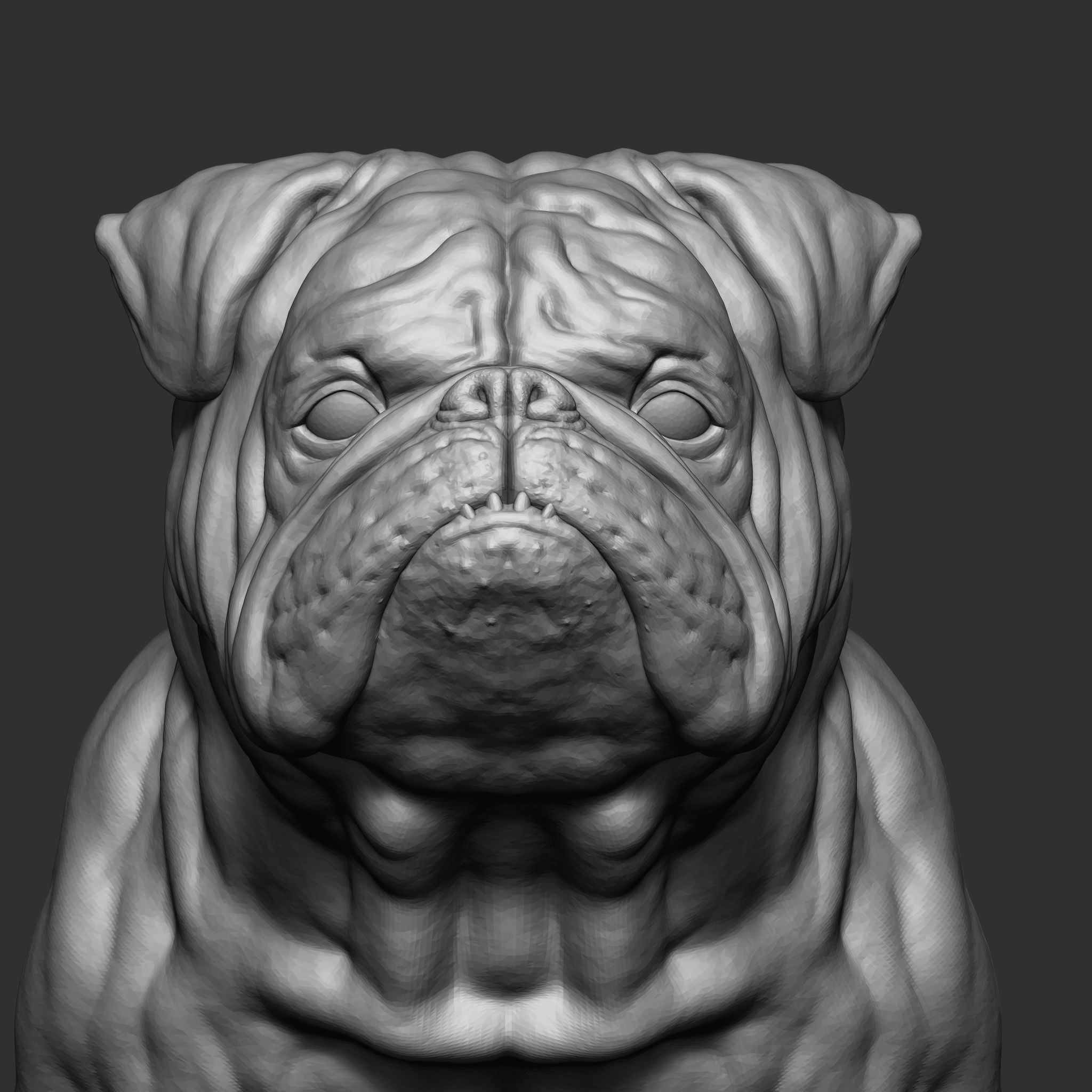 Bulldog 3D model 3D printable | CGTrader