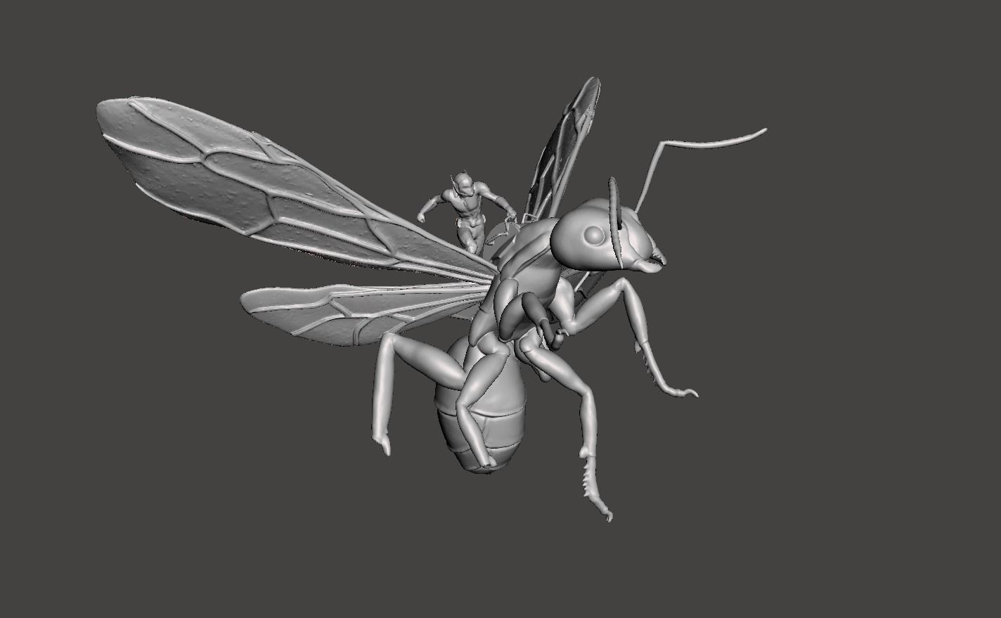 Antman small riding ant 3d model 3D model 3D printable | CGTrader