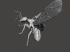 Antman small riding ant 3d model 3D model 3D printable | CGTrader