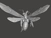 Antman small riding ant 3d model 3D model 3D printable | CGTrader