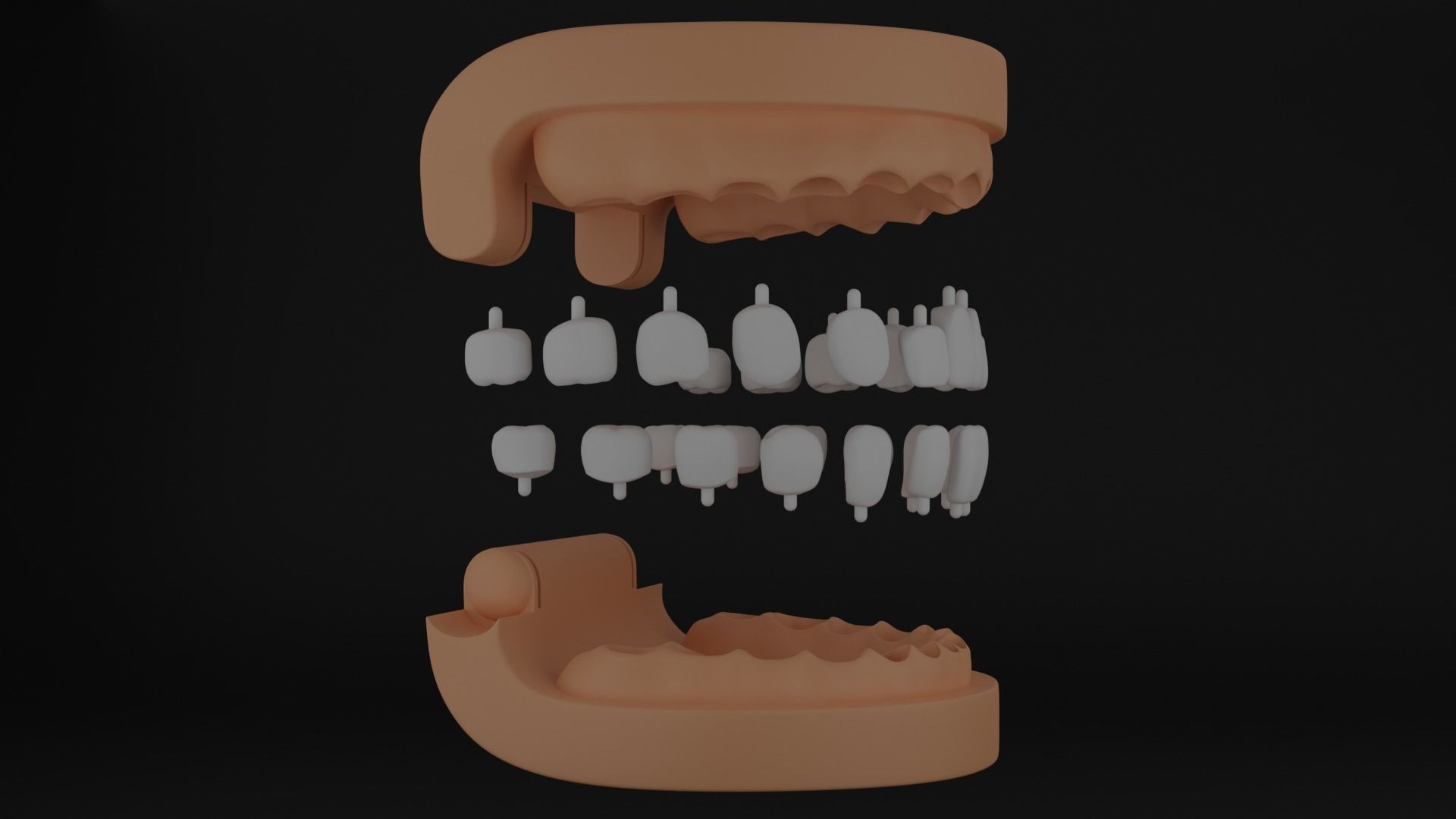Collapsible 3d model of teeth 3D model 3D printable | CGTrader