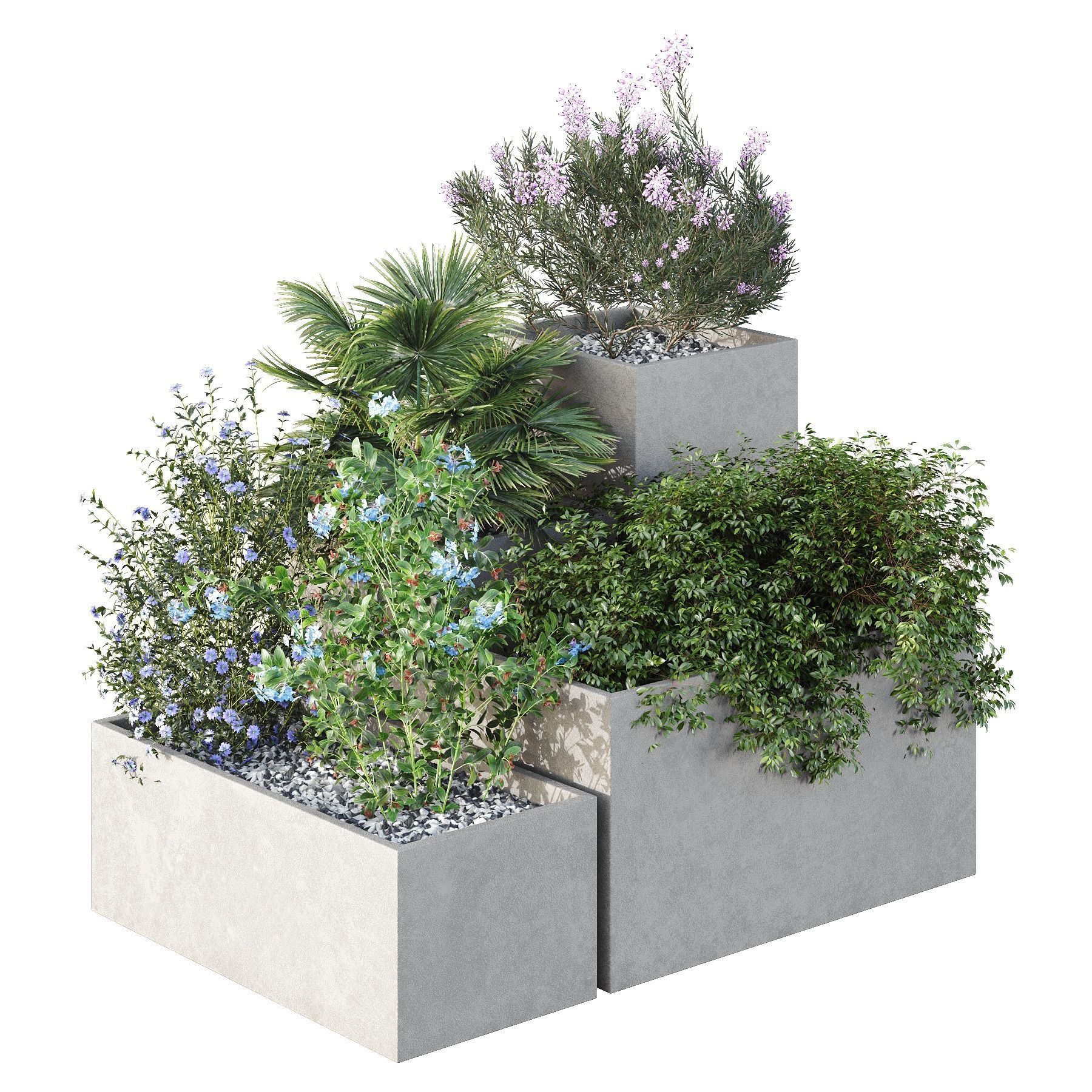 HQ Tree and bush garden box outdoor VOL 07 free 3D model | CGTrader