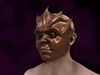 Devilfoil Merregon Mask Baldurs Gate 3 3D model 3D printable | CGTrader