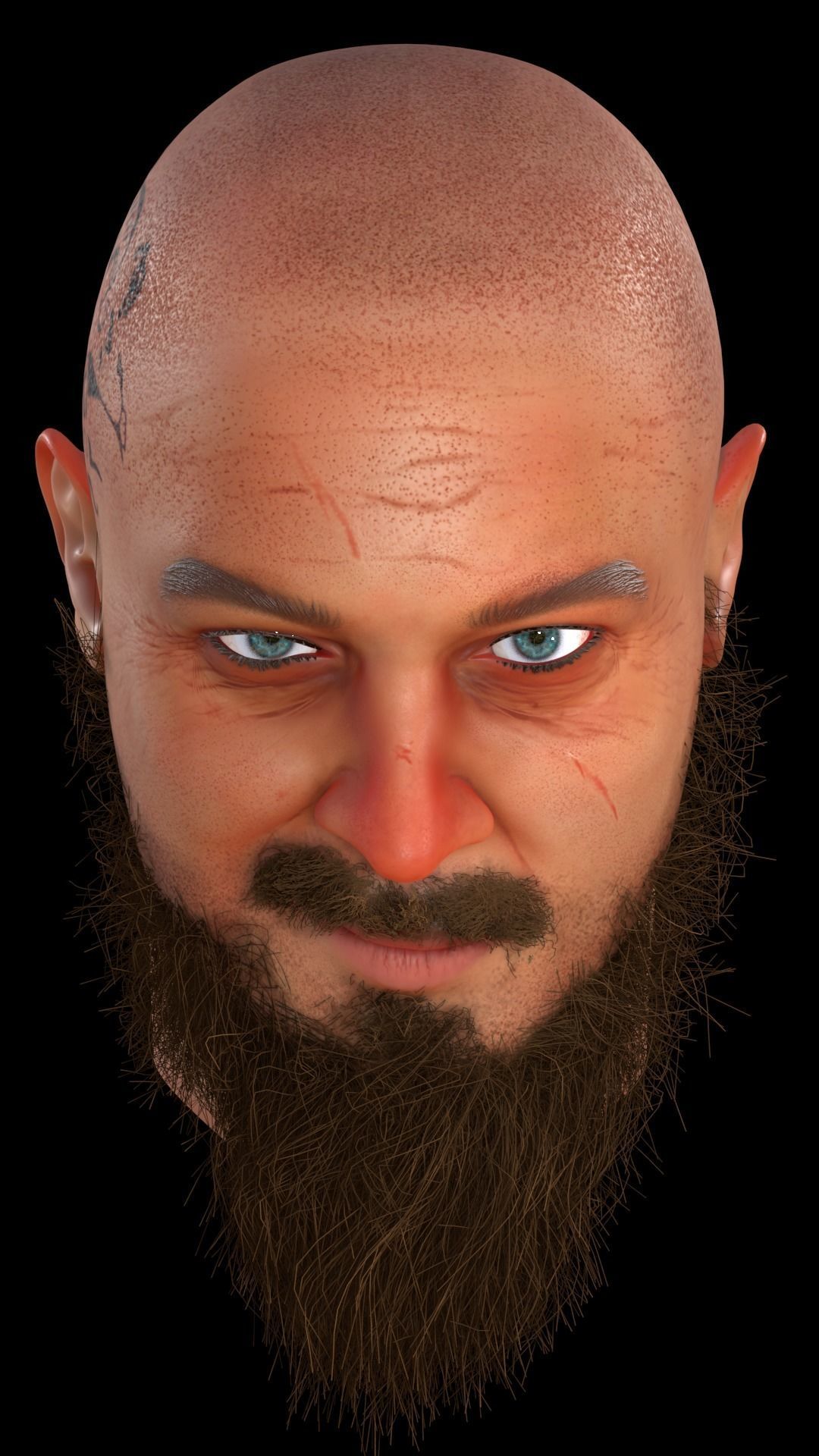 Ragnar Lothbrok Head 3D model | CGTrader