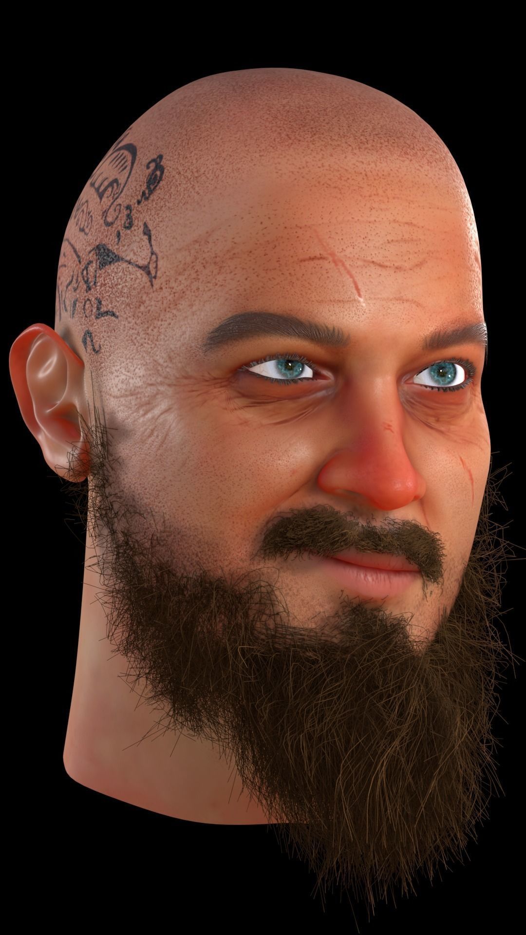 Ragnar Lothbrok Head 3D model | CGTrader
