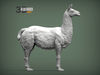 Lama 3D print model 3D model 3D printable | CGTrader