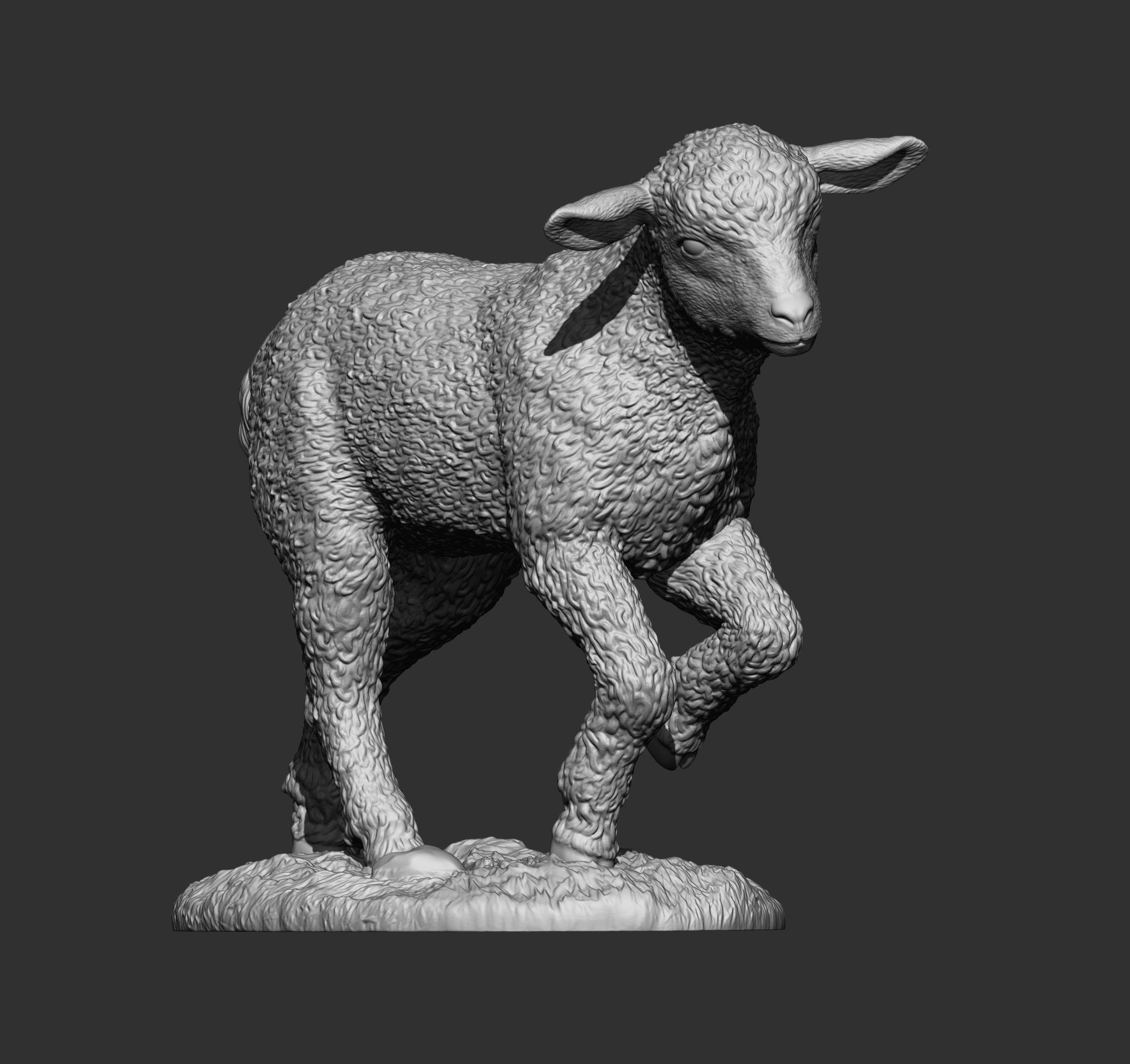 Lamb runs 3D model 3D printable | CGTrader