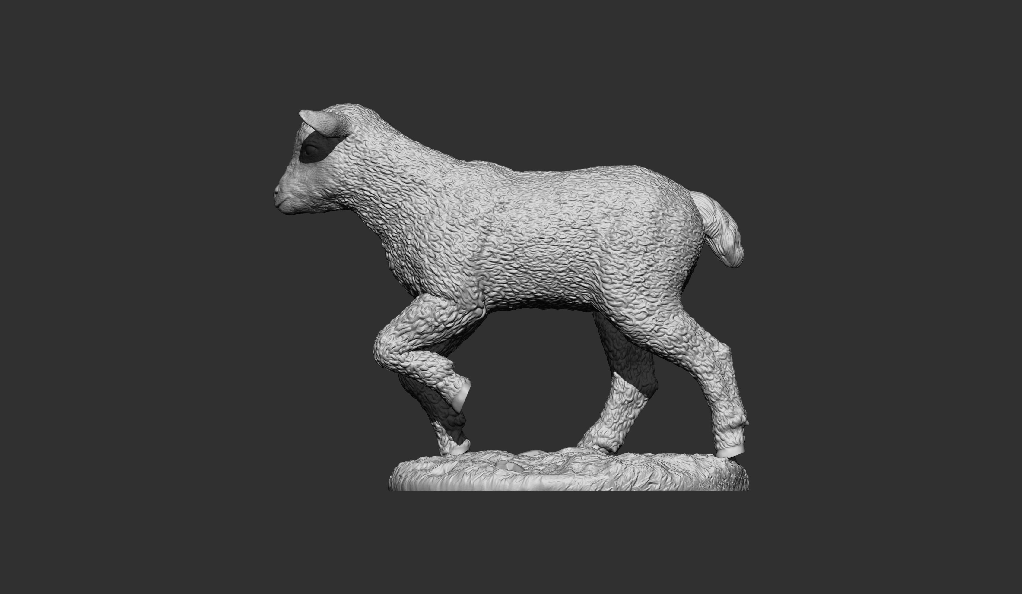 Lamb runs 3D model 3D printable | CGTrader