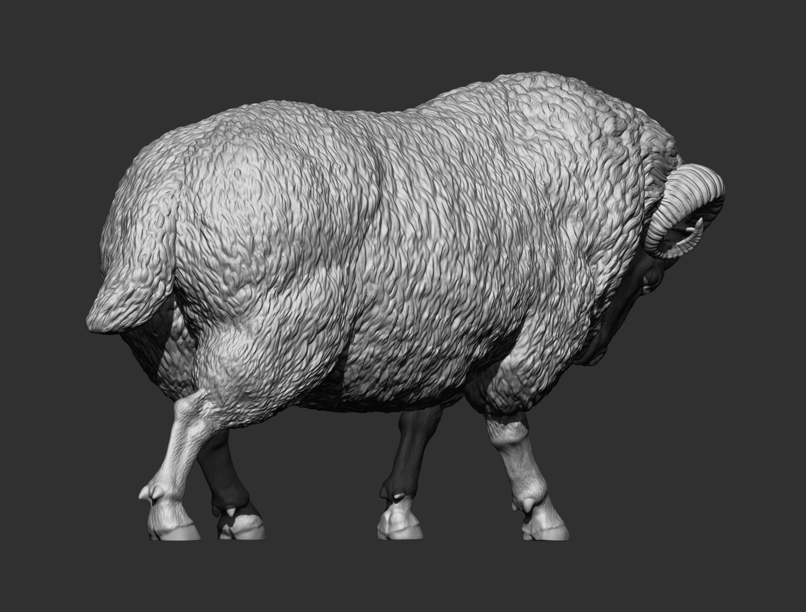 Ram attacks 3D model 3D printable | CGTrader