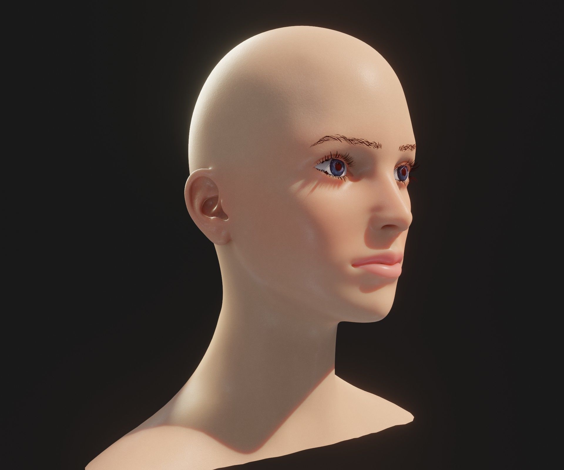 3D Model Collection Realistic Male Female Head 3D Model Animated Facial ...