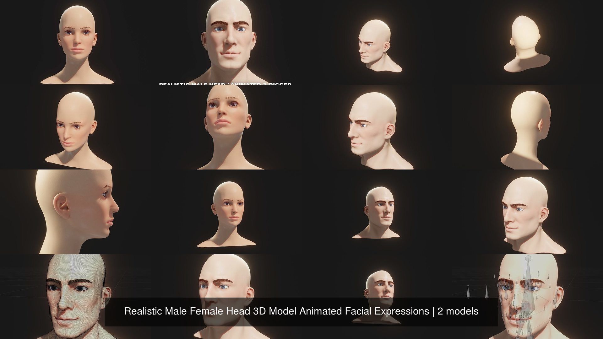 3D Model Collection Realistic Male Female Head 3D Model Animated Facial ...
