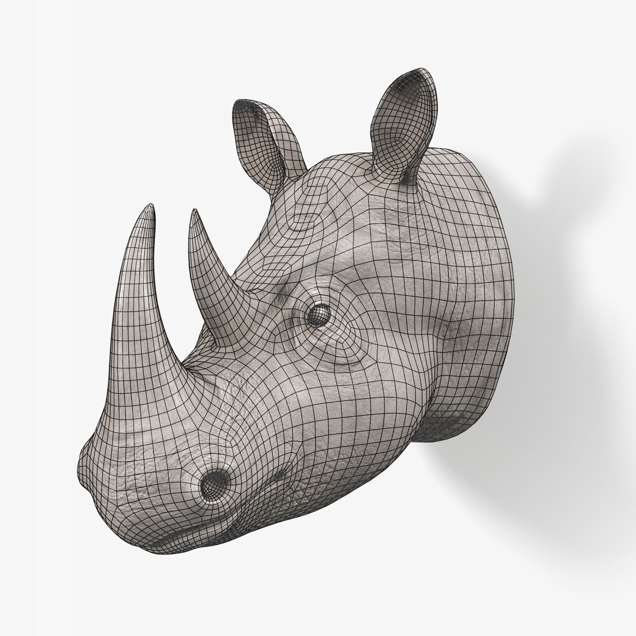 Rhinoceros wall decor 3D model | CGTrader