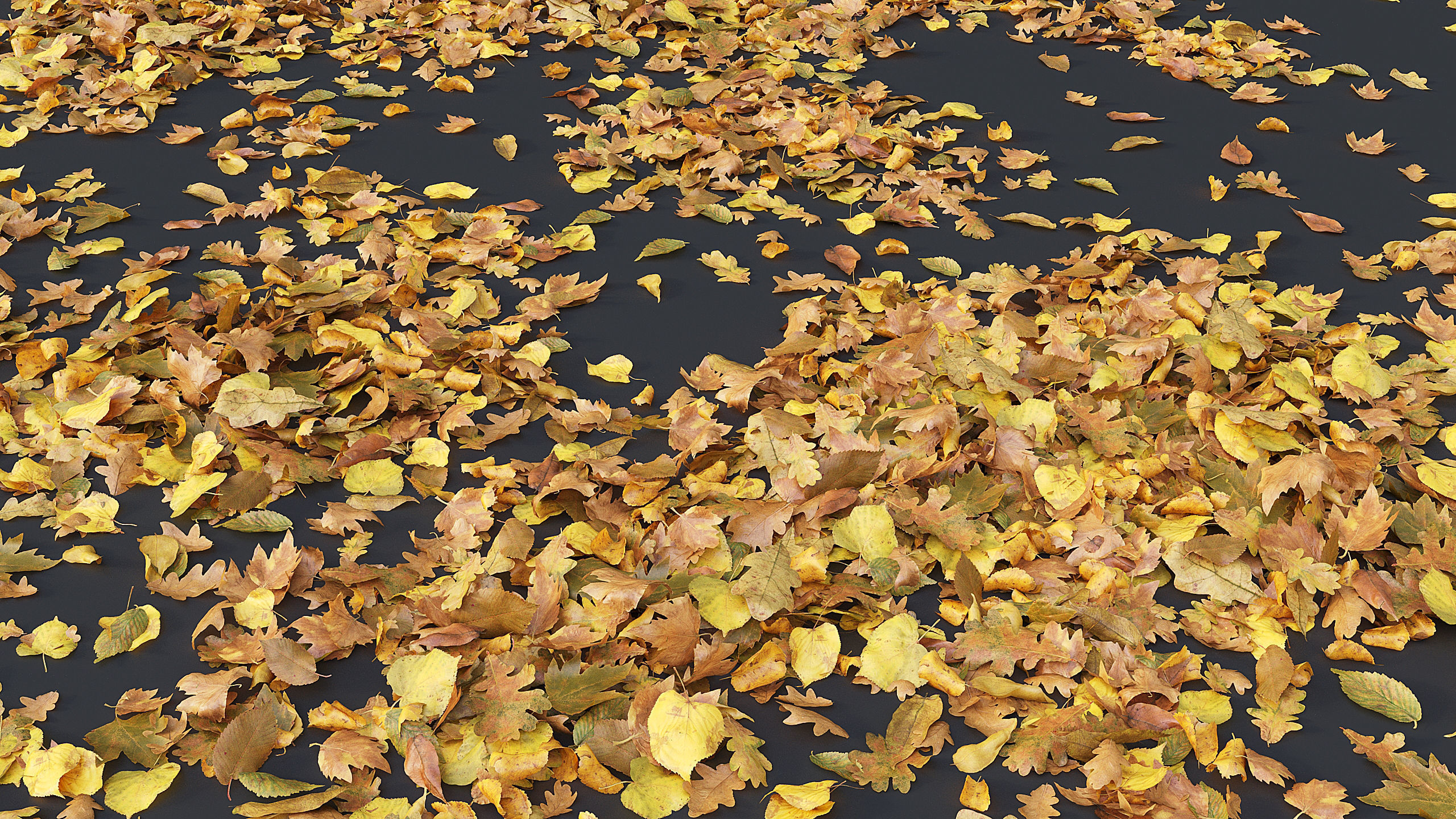 Yellow autumn leaves 3D model | CGTrader