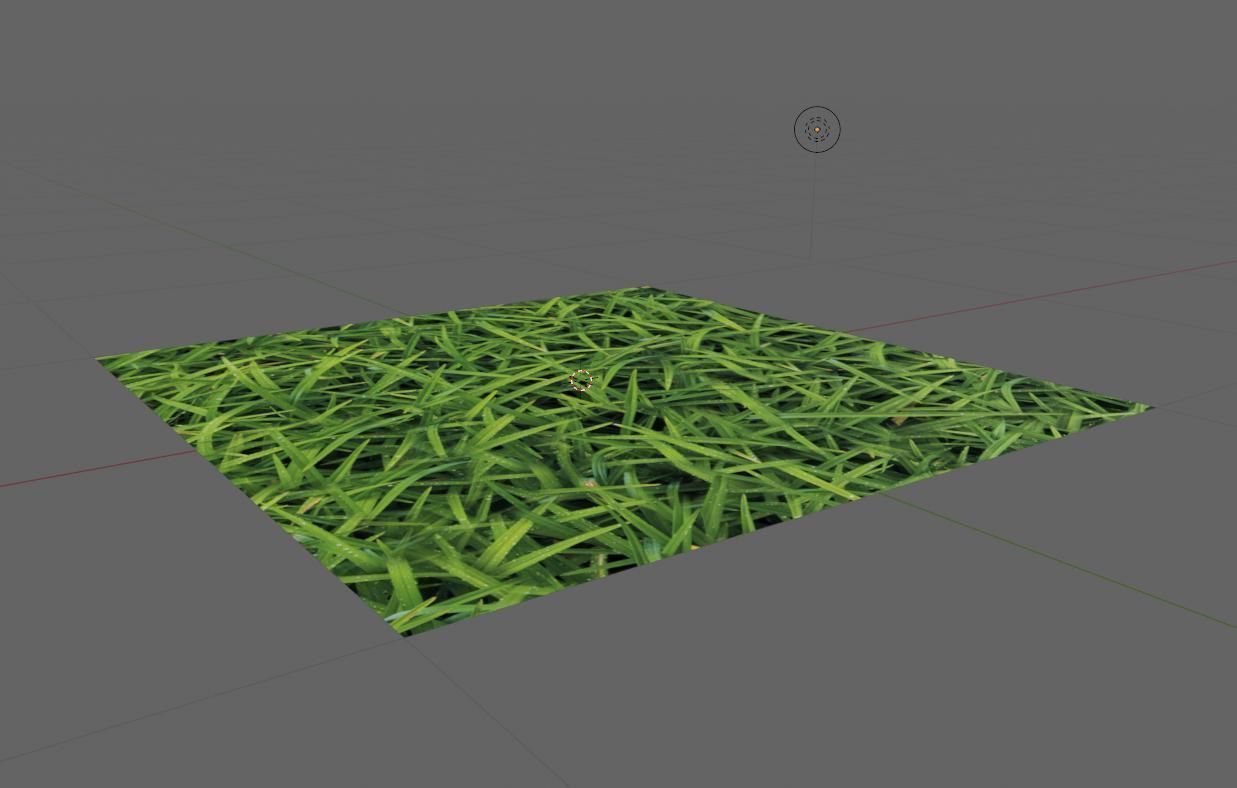Texture Grass Texture Seamless - 2K - Grama VR / AR / low-poly | CGTrader