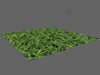 Texture Grass Texture Seamless - 2K - Grama VR / AR / low-poly | CGTrader