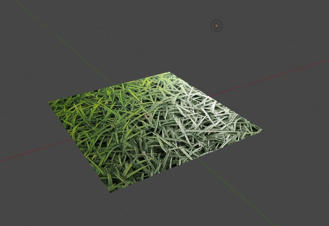 Texture Grass Texture Seamless - 2K - Grama VR / AR / low-poly | CGTrader