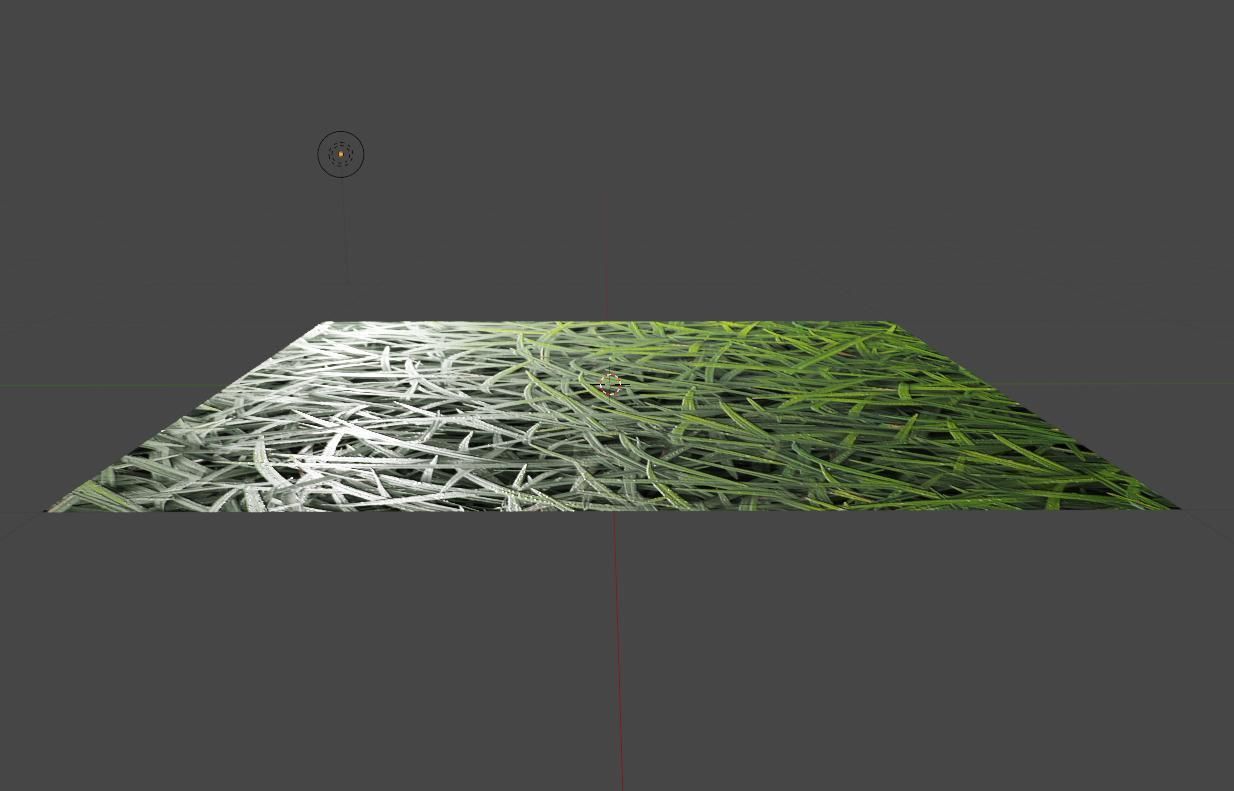 Texture Grass Texture Seamless - 2K - Grama VR / AR / low-poly | CGTrader