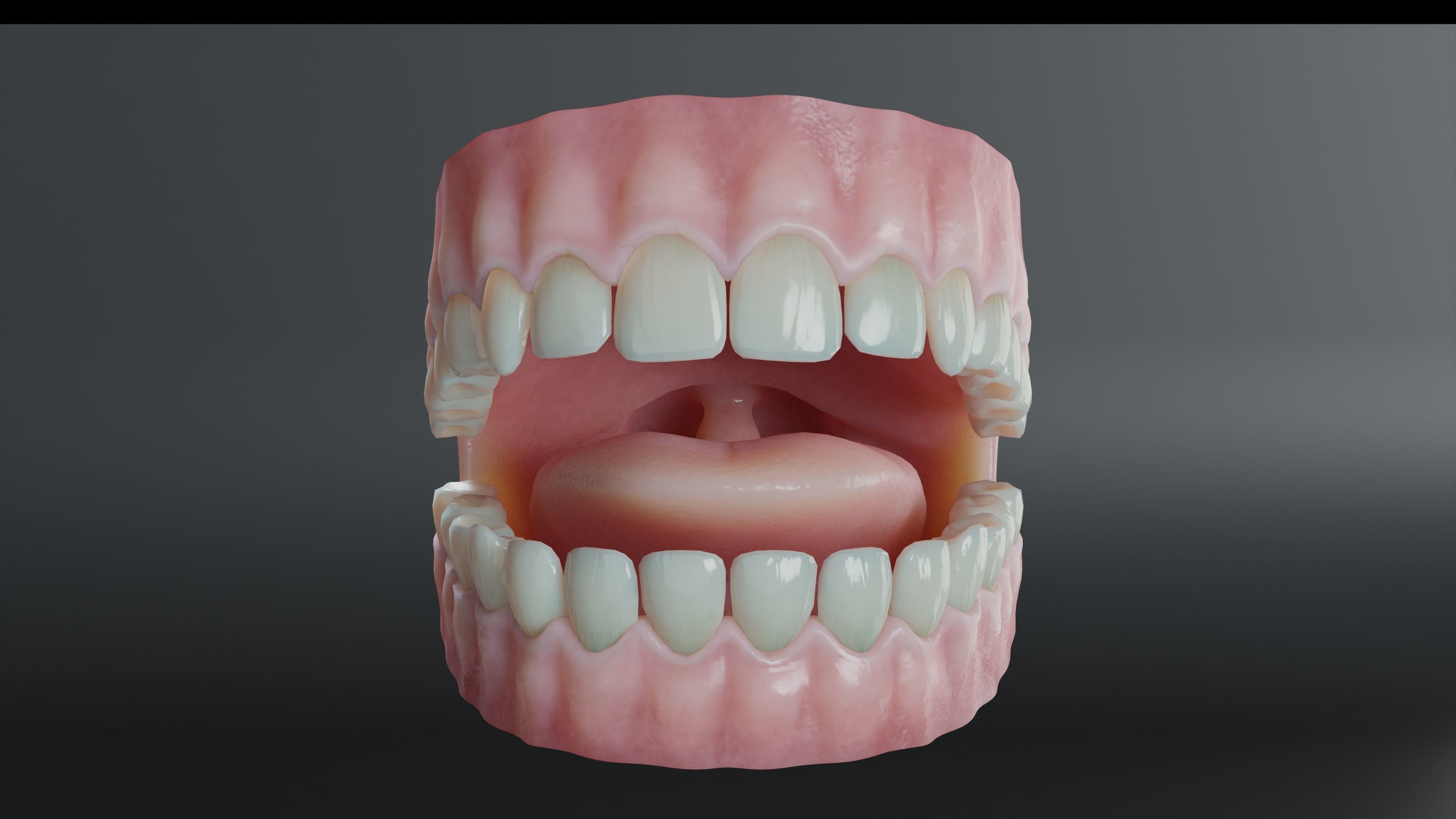 Human Teeth 3D model animated rigged | CGTrader