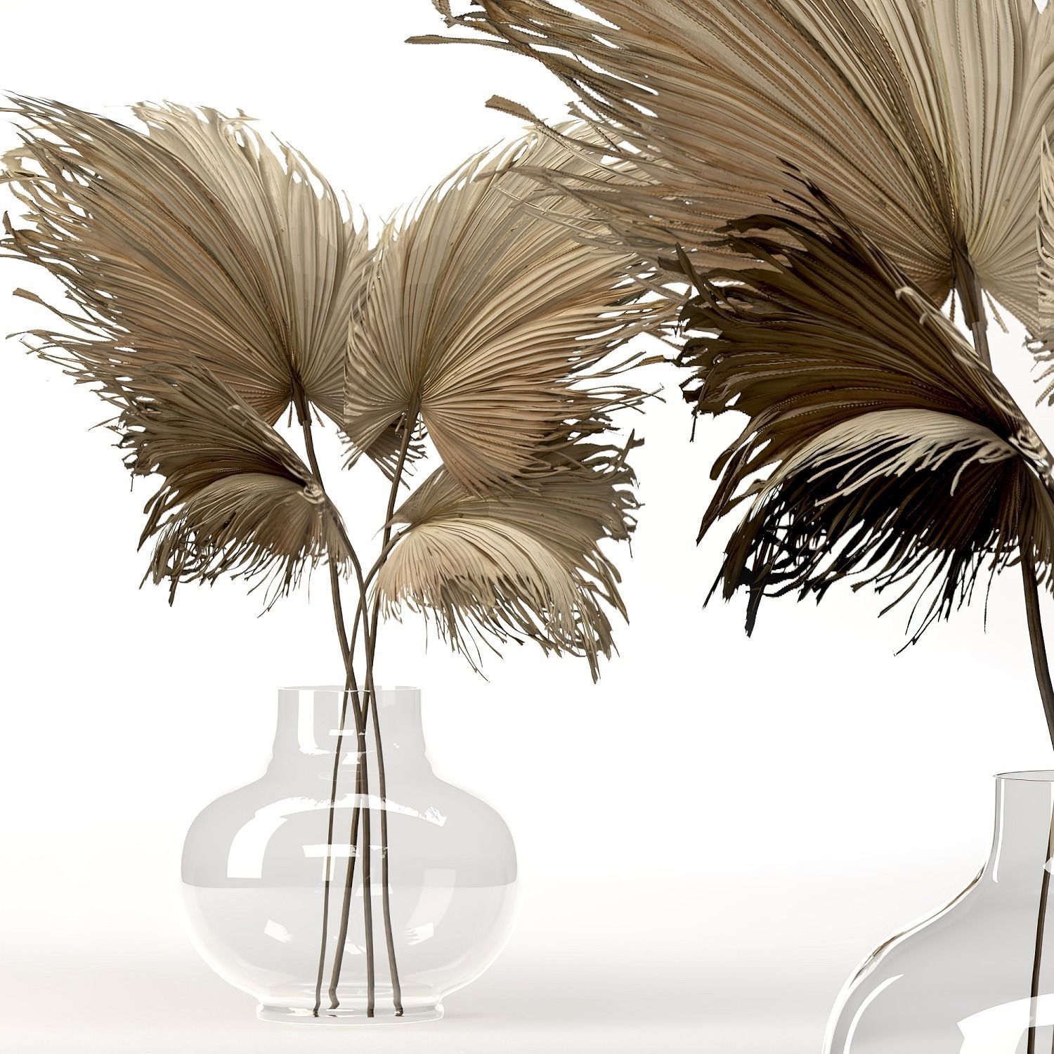 Dry Flowers Set -09 3D model | CGTrader