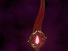 Bloodthirst Dagger Baldurs Gate 3 3D model 3D printable | CGTrader