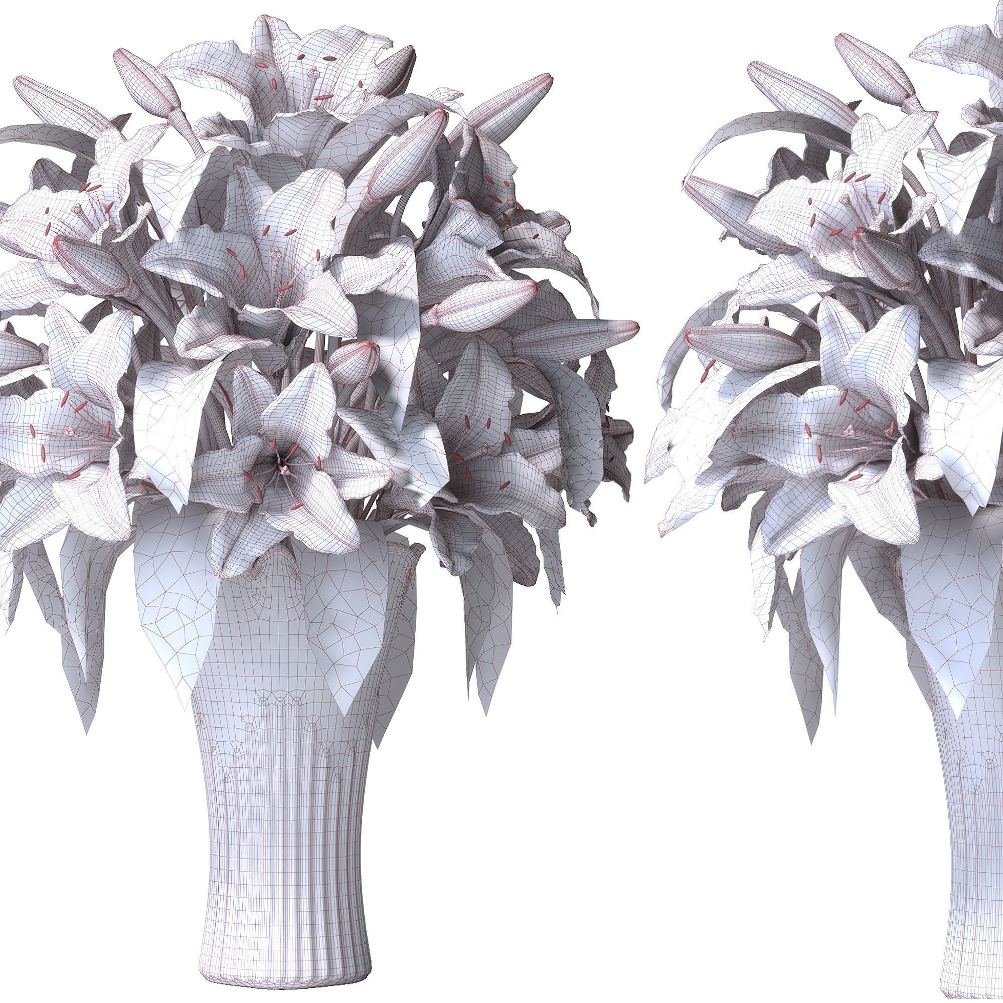 Lilium flower set -12 3D model | CGTrader