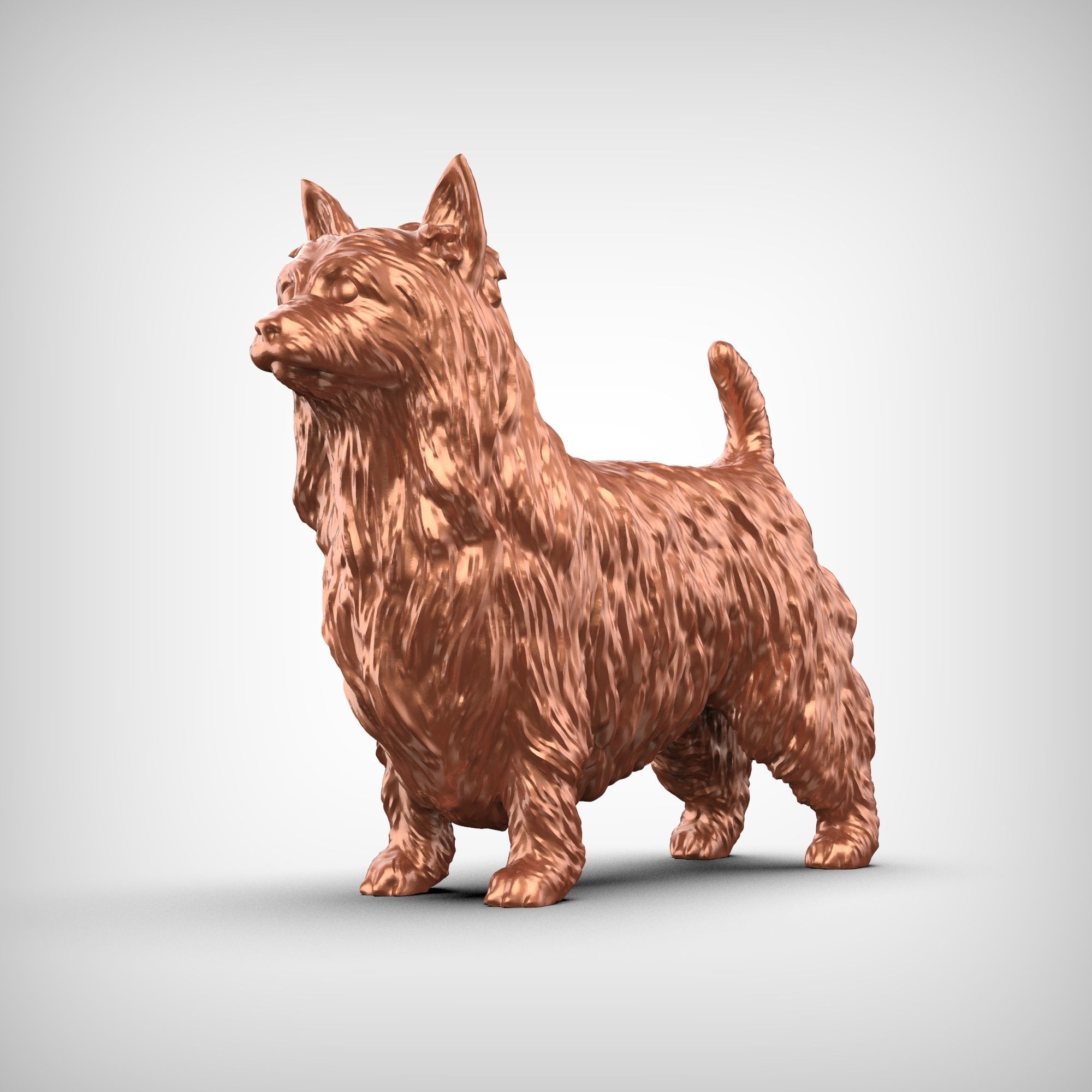 Australian Terrier 3D Print Model Pose 01 3D model 3D printable | CGTrader