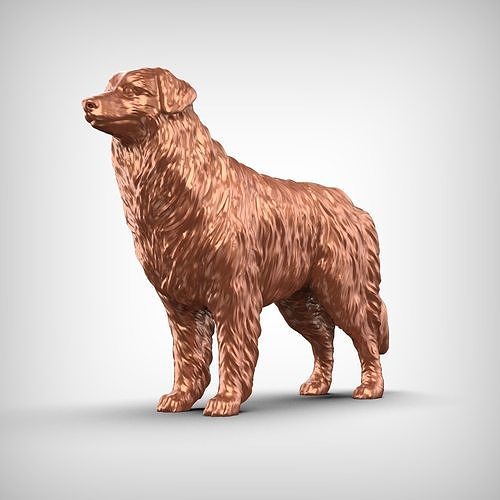 Australian Shepherd Dog 3D Print Model Pose 01 3D model 3D printable ...