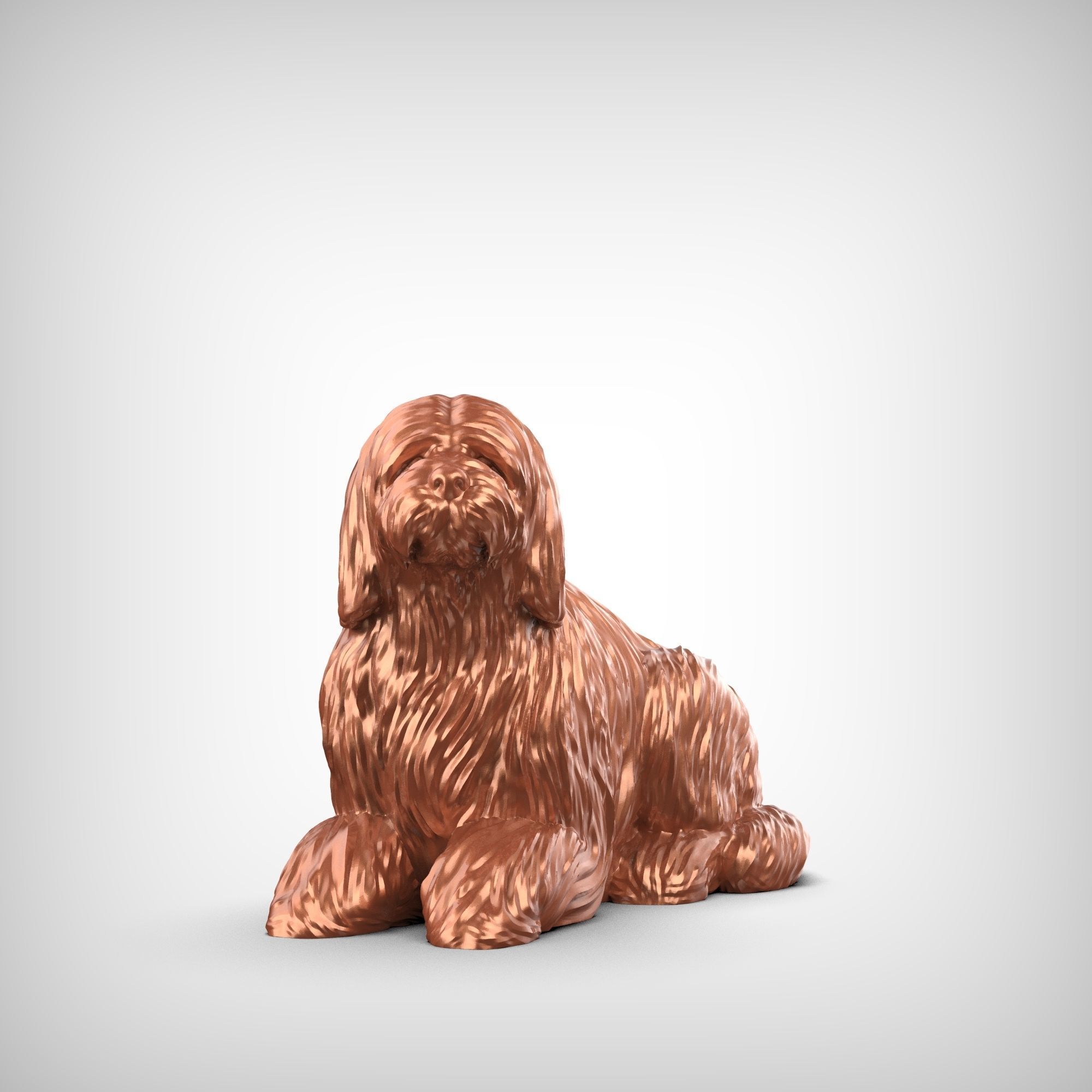 Bearded Collie 3D Print Model Pose 08 3D model 3D printable | CGTrader