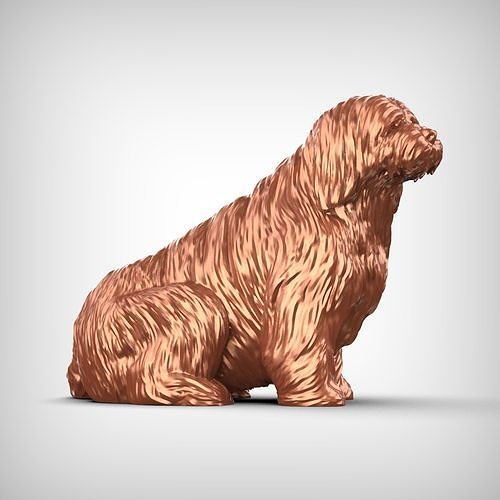 Bearded Collie 3D Print Model Pose 06 3D model 3D printable | CGTrader