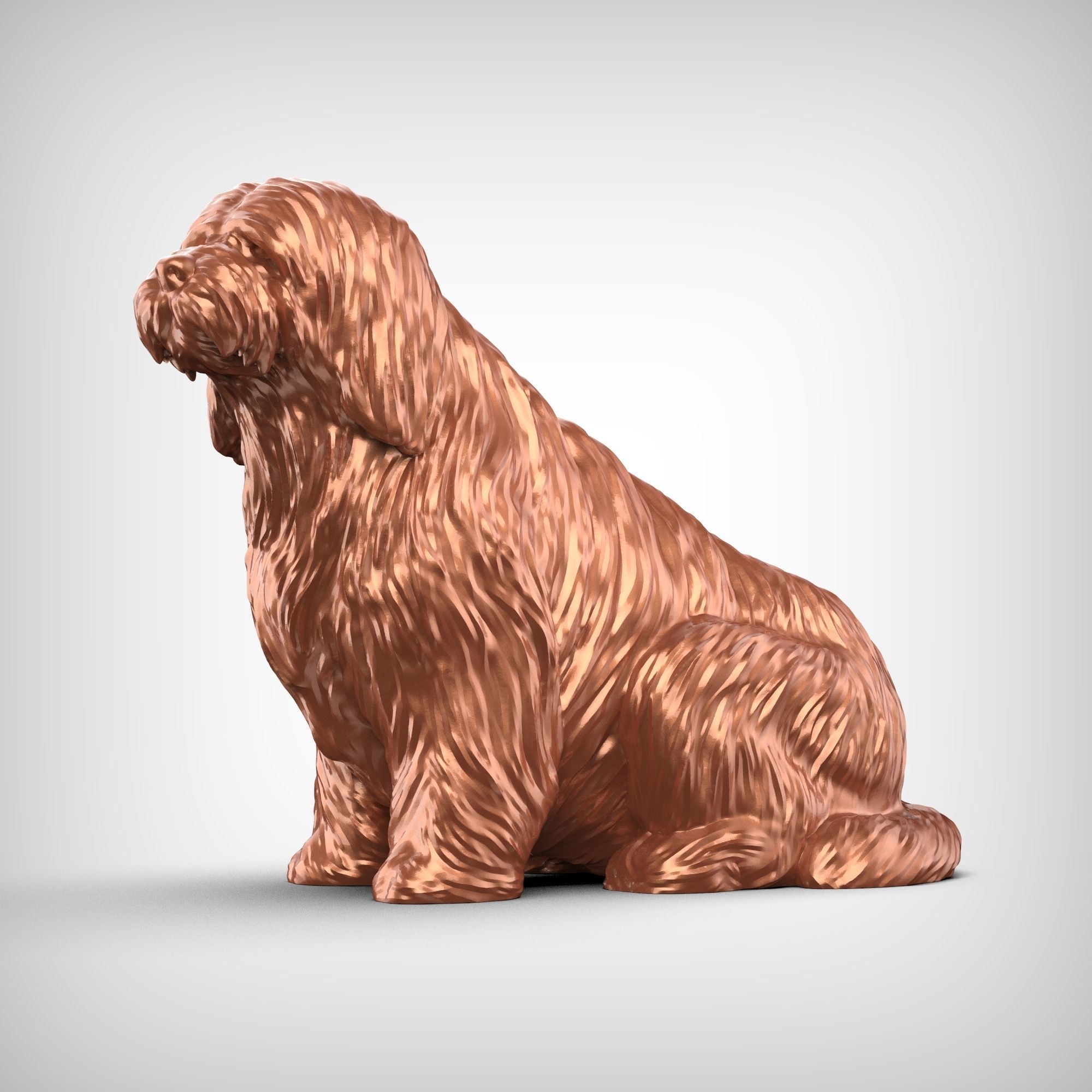 Bearded Collie 3D Print Model Pose 05 3D model 3D printable | CGTrader