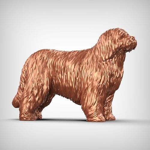 Bearded Collie 3D Print Model Pose 03 3D model 3D printable | CGTrader