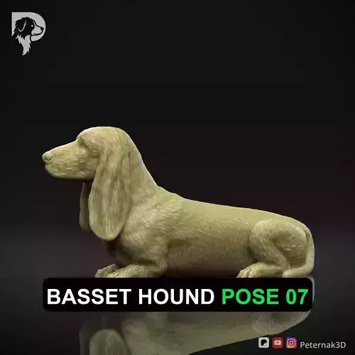 Dog 3D Print Model Basset Hound Pose 08 Ready STL 3D model 3D printable ...