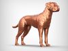 Boxer Dog 3D Print Model Pose 01 3D model 3D printable | CGTrader