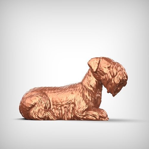 Cesky Terrier Dog 3D Print Model Pose 09 3D model 3D printable | CGTrader