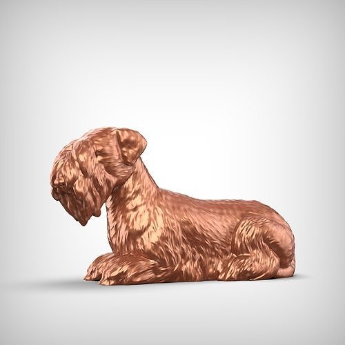 Cesky Terrier Dog 3D Print Model Pose 08 3D model 3D printable | CGTrader