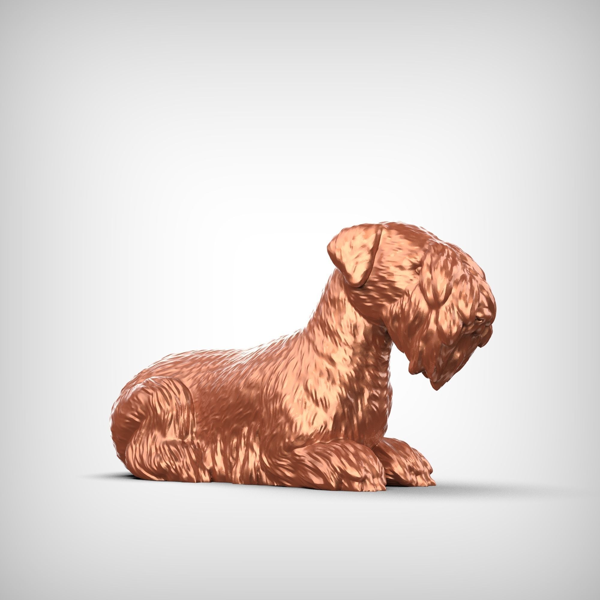 Cesky Terrier Dog 3D Print Model Pose 07 3D model 3D printable | CGTrader